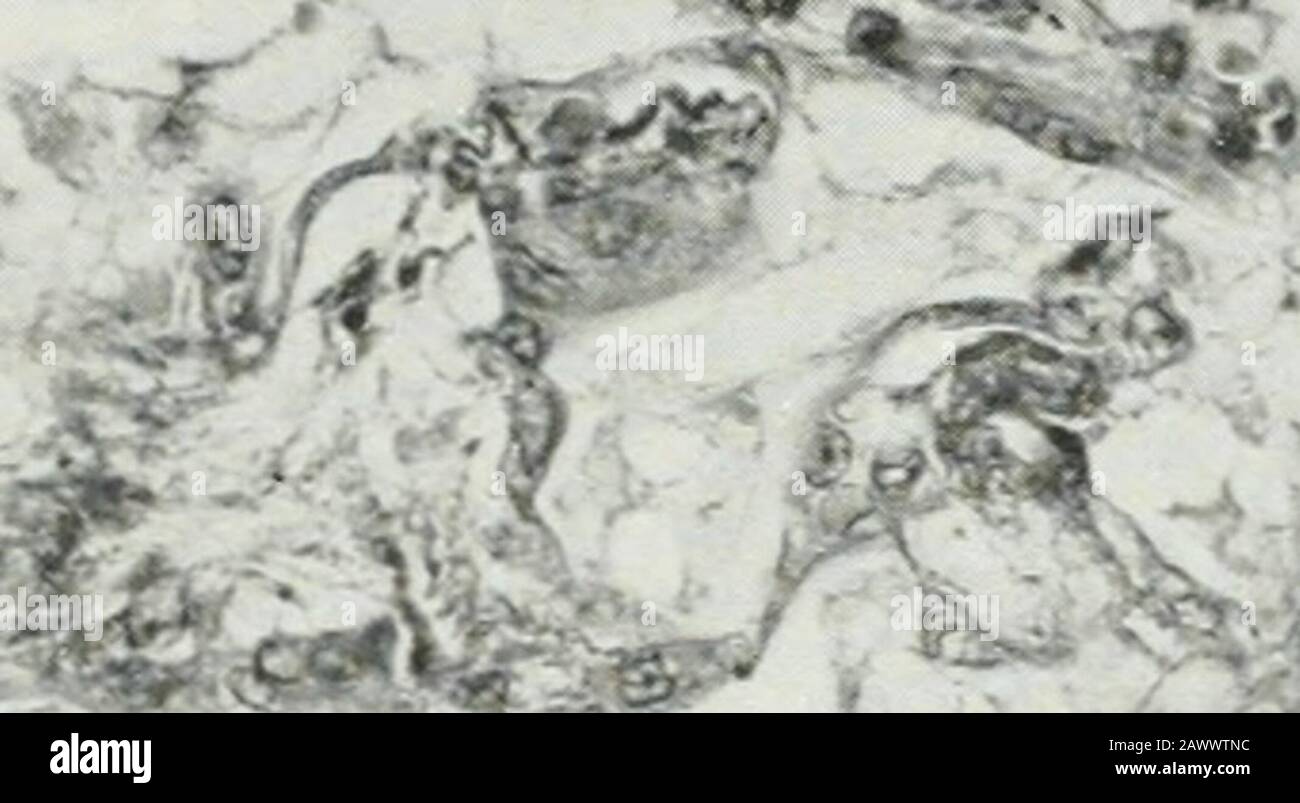 Archives of internal medicine Stock Photo - Alamy