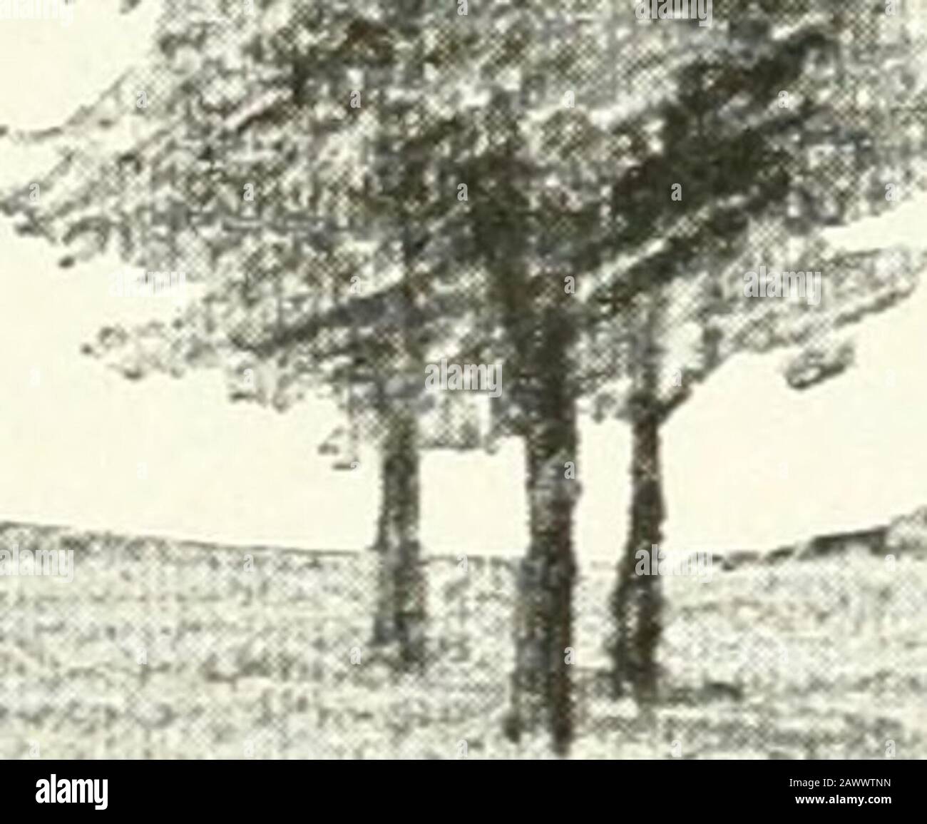 Art . ?;^^^ Stock Photo - Alamy