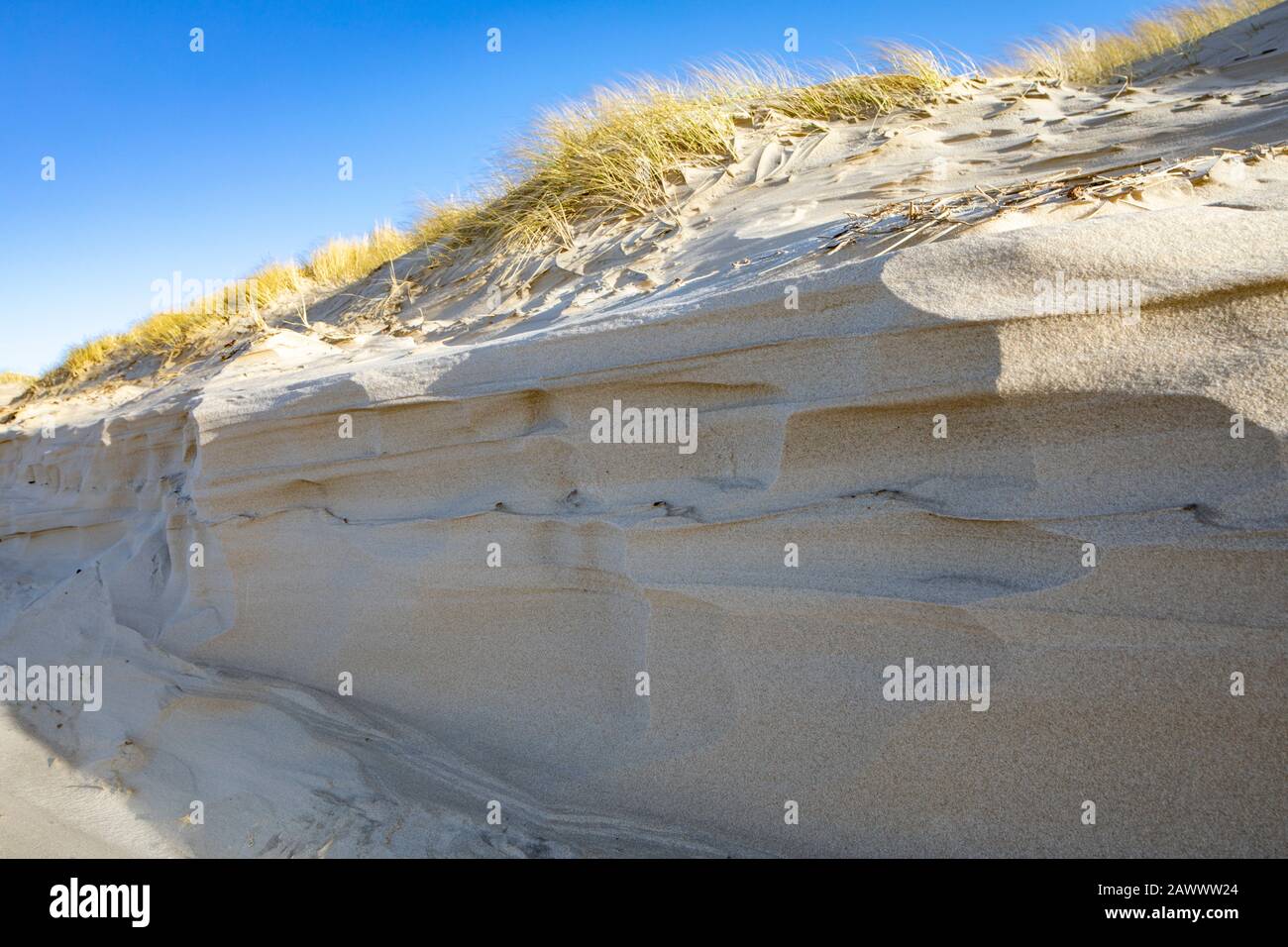 Sandy dunes in Poland. Bright, wide beach in Leba. Baltic sea and its ...