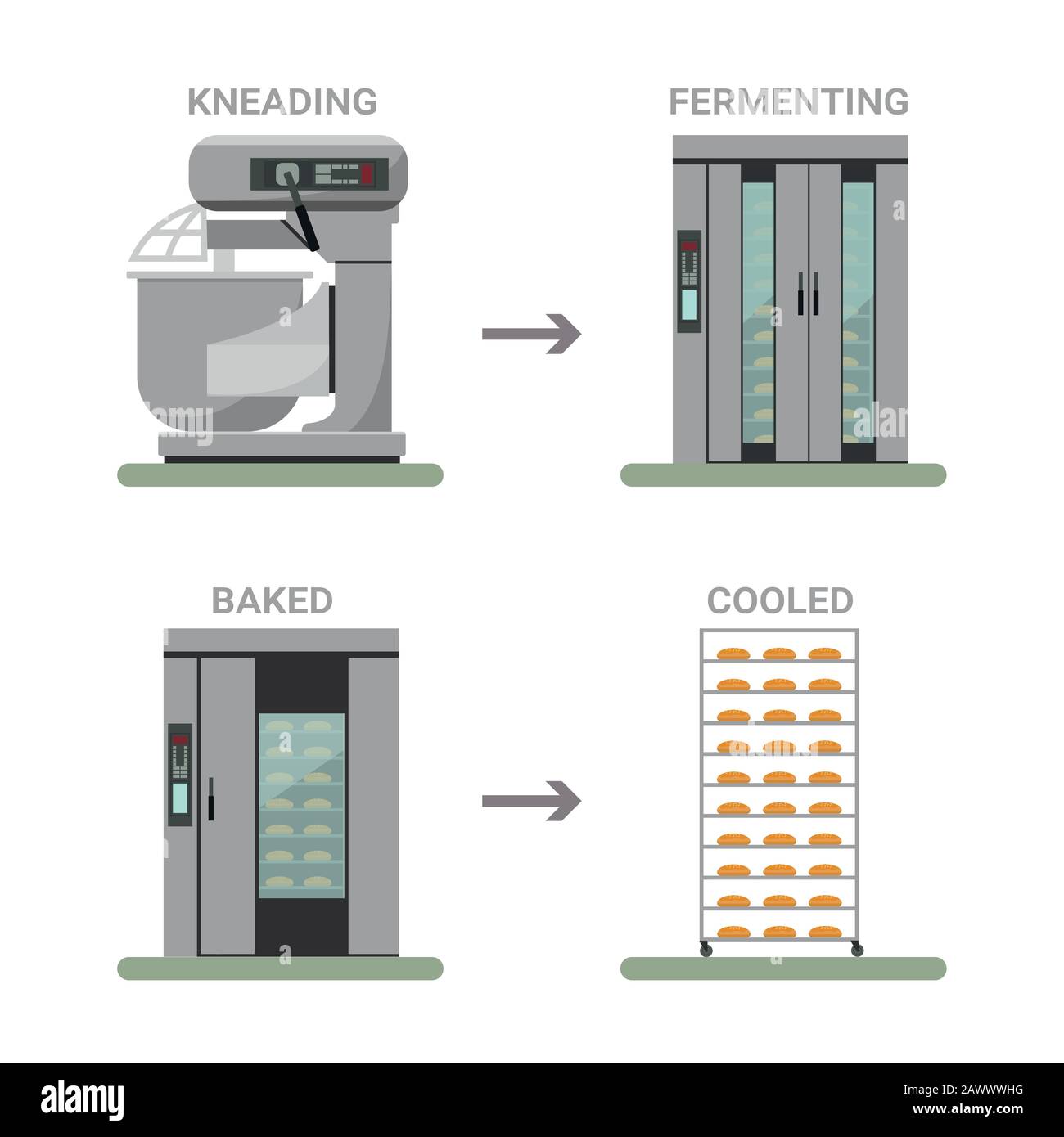 Bread processing process flow. Bakery machinery Stock Vector Image ...