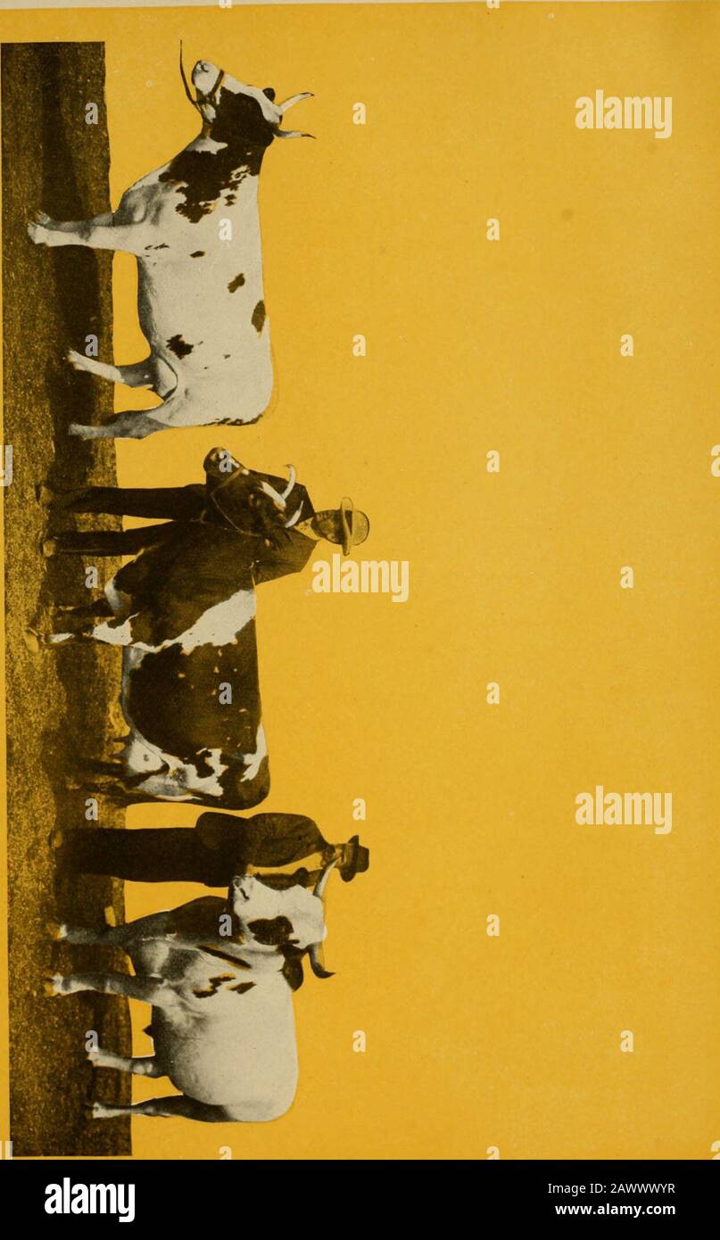 Bony frames hi-res stock photography and images - Alamy