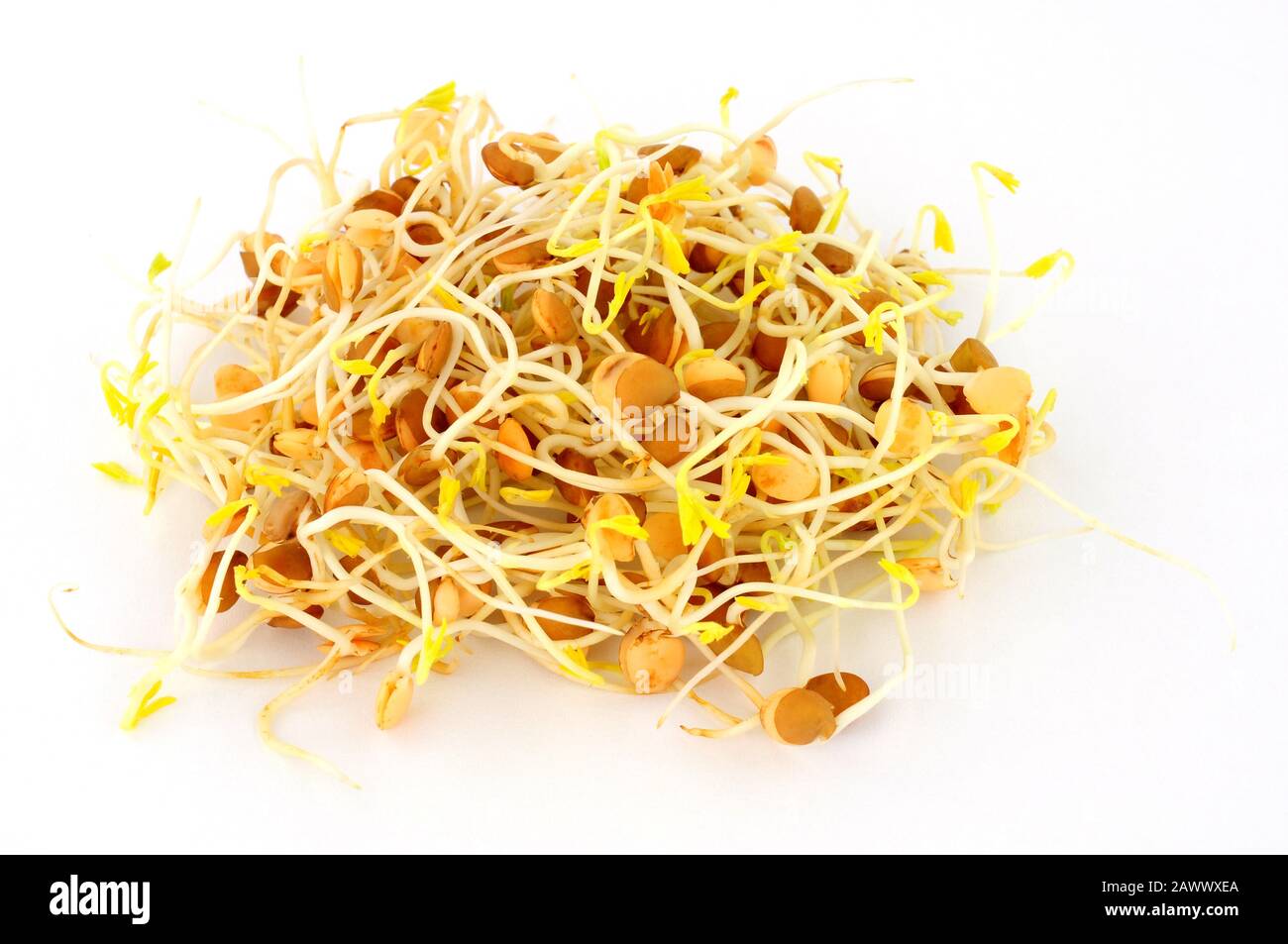 Lentils with sprouts Cut Out Stock Images & Pictures - Alamy
