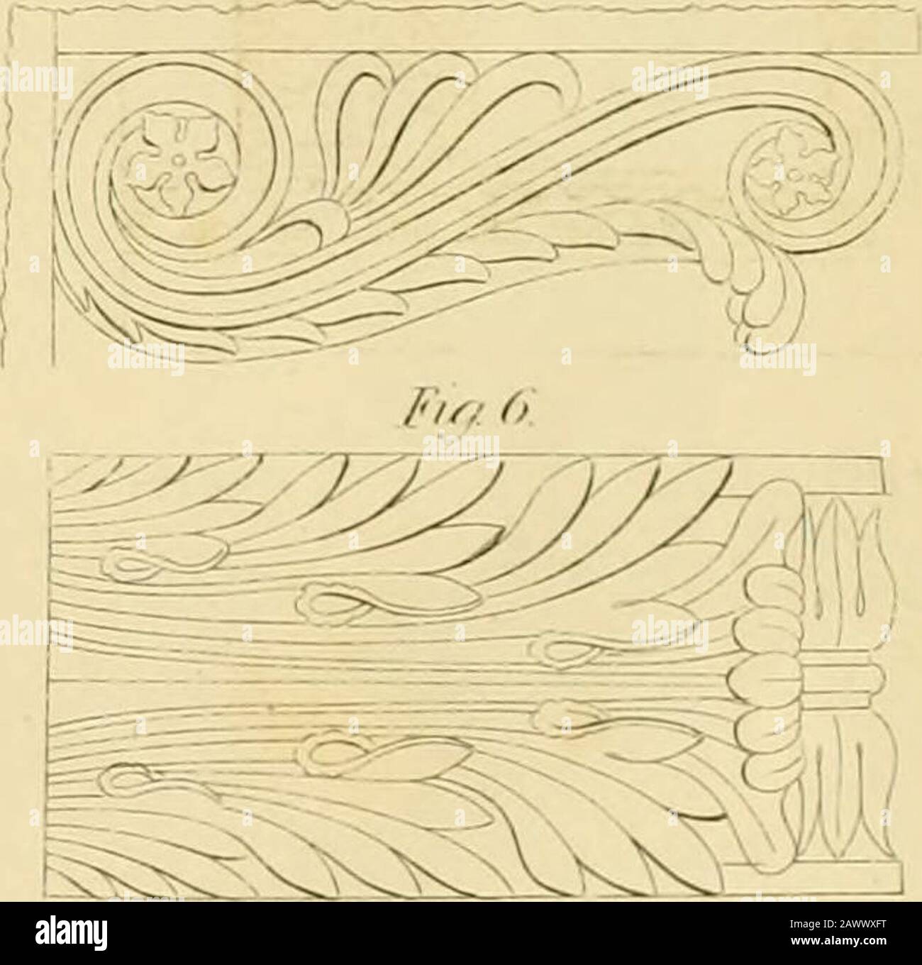 Llii hi-res stock photography and images - Alamy