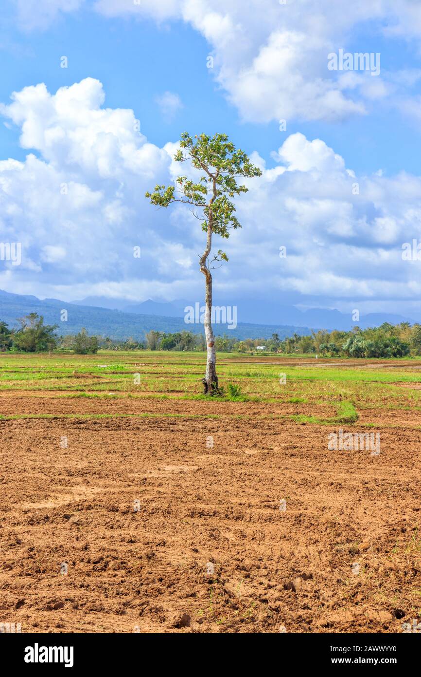 Farm in Tabontabon, Leyte, Philippines Stock Photo - Alamy
