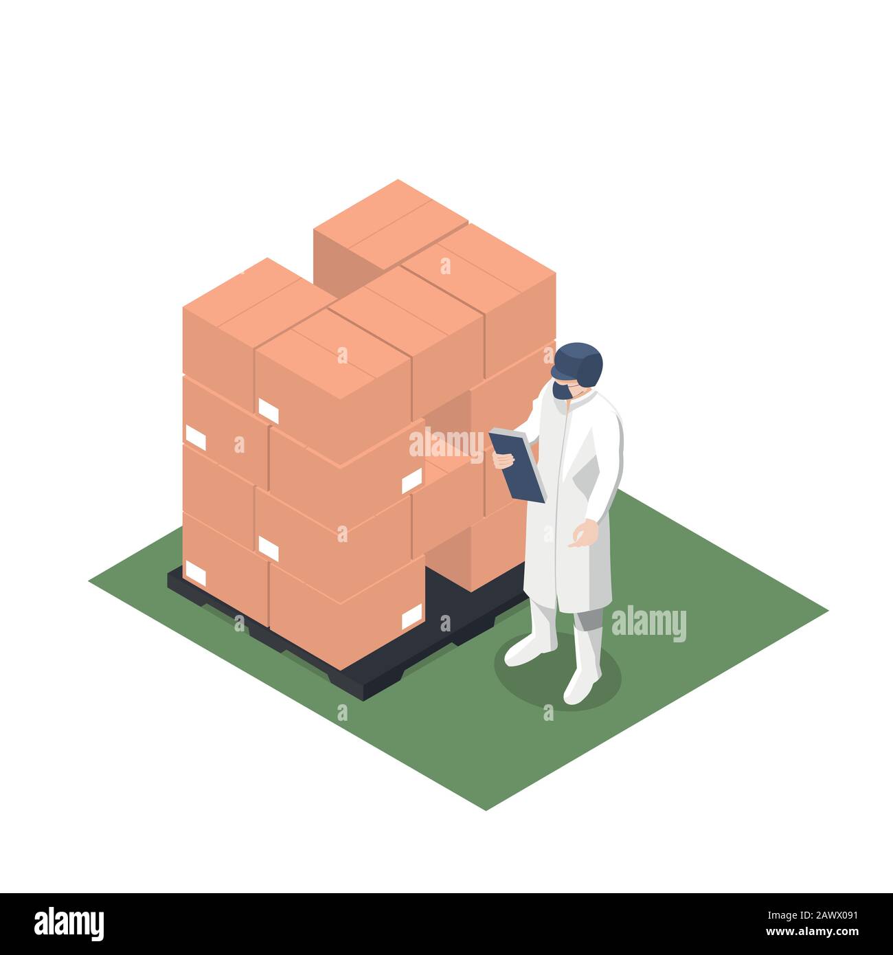 Production supervisor reviewing pallet with palletized boxes Stock ...