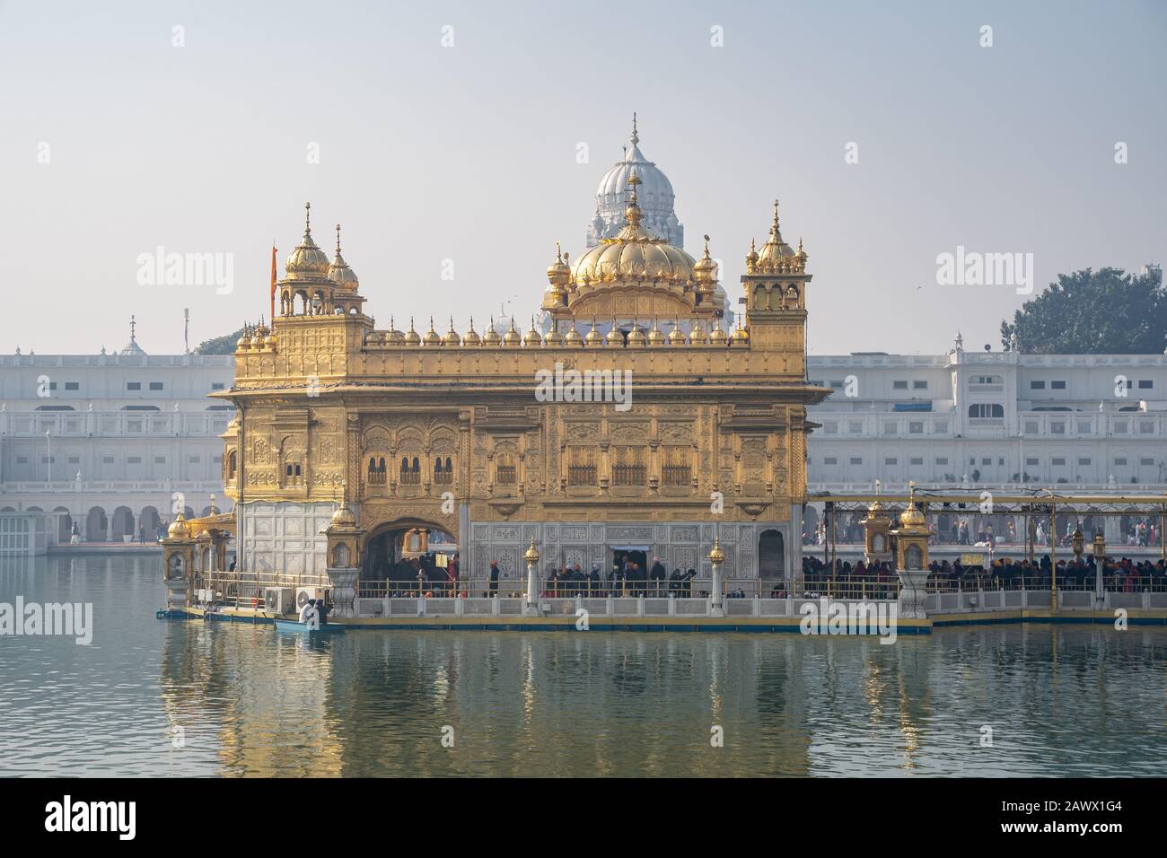 Golden Temple At Morning