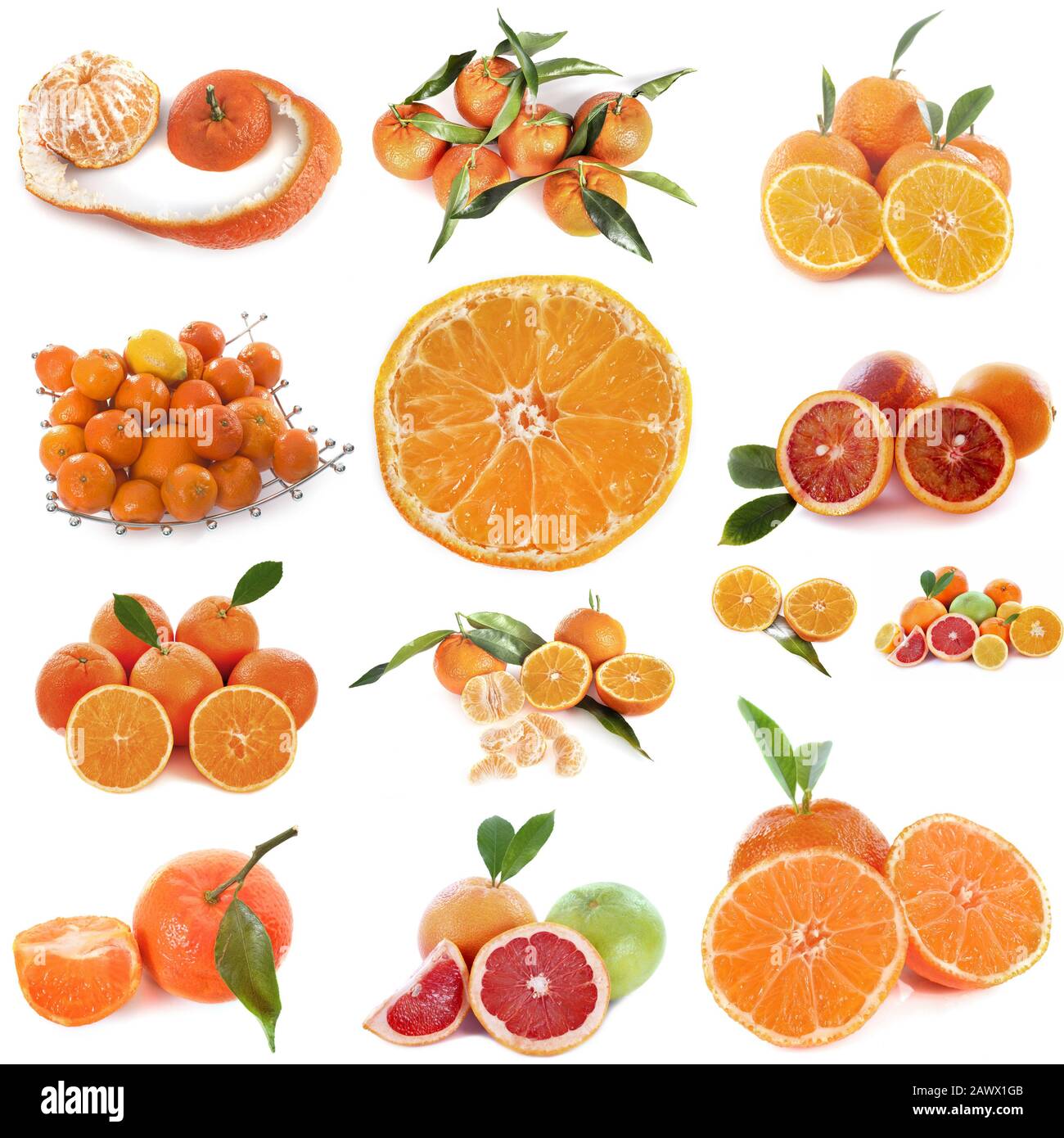composite picture of citrus fruits in front of white background Stock ...