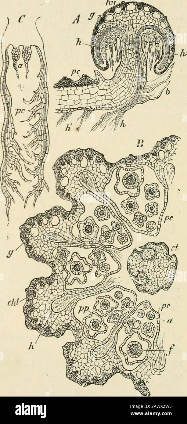 Receptac hi-res stock photography and images - Alamy