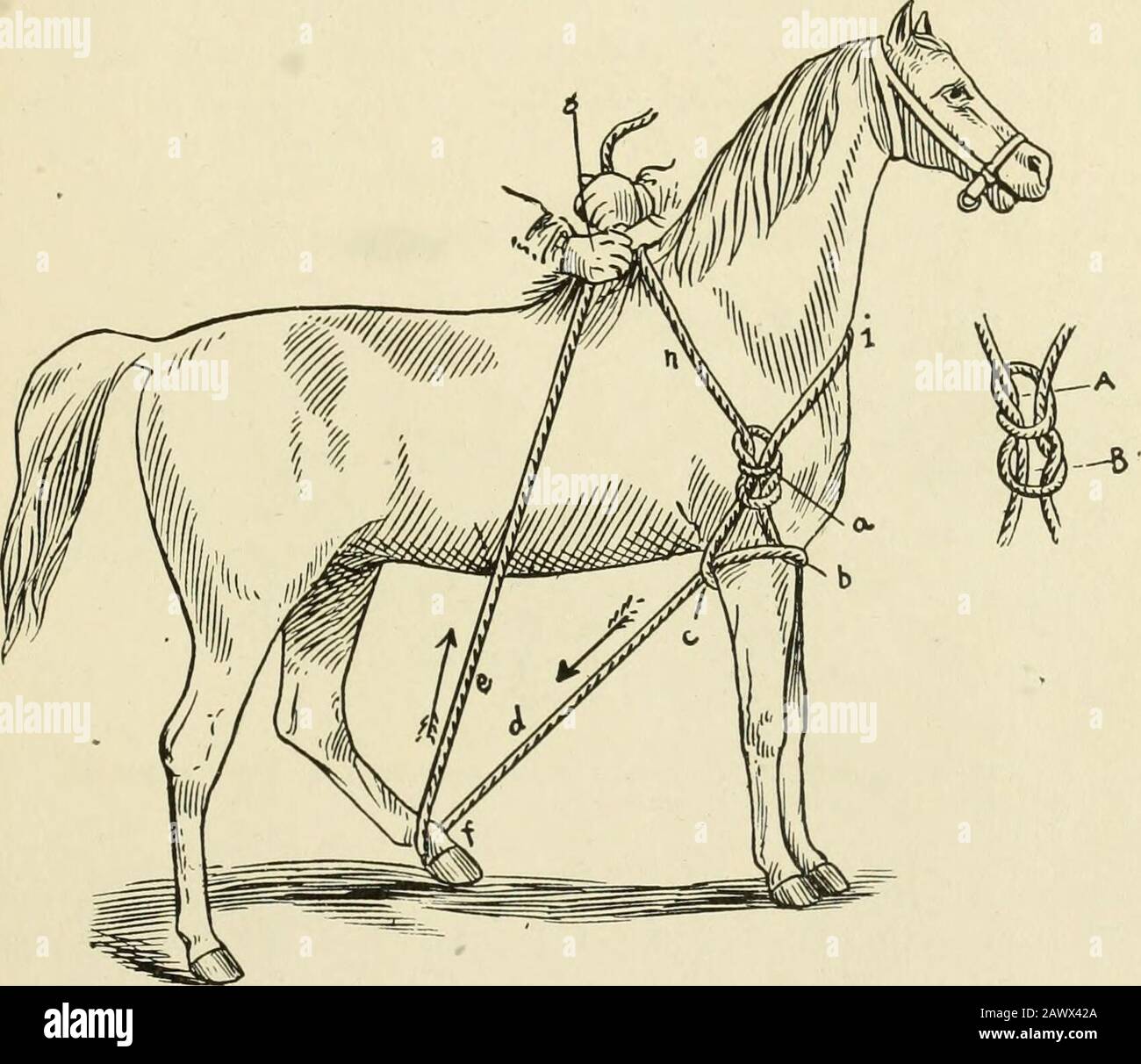 Rohard hi-res stock photography and images - Alamy