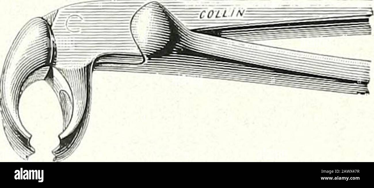 Right angle forceps hi-res stock photography and images - Alamy