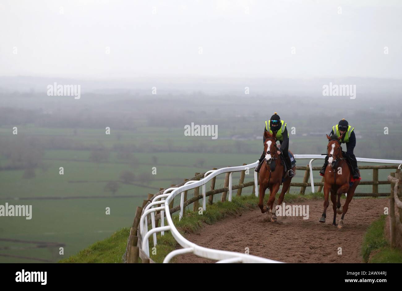 Visit to paul nicholls stables hi-res stock photography and images - Alamy