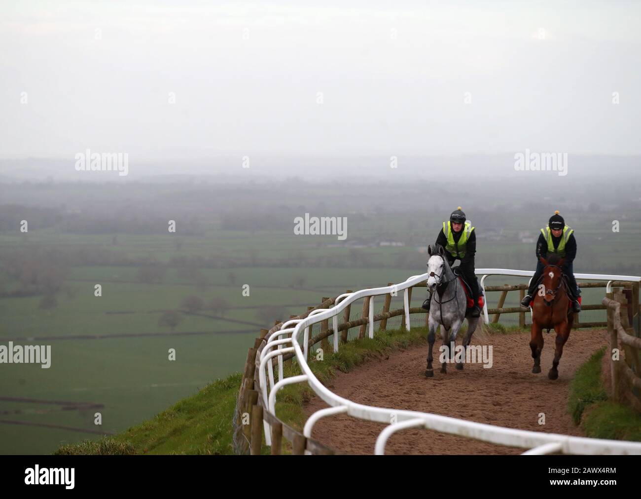 Horses on the gallops during the visit to Paul Nicholls' stables at ...
