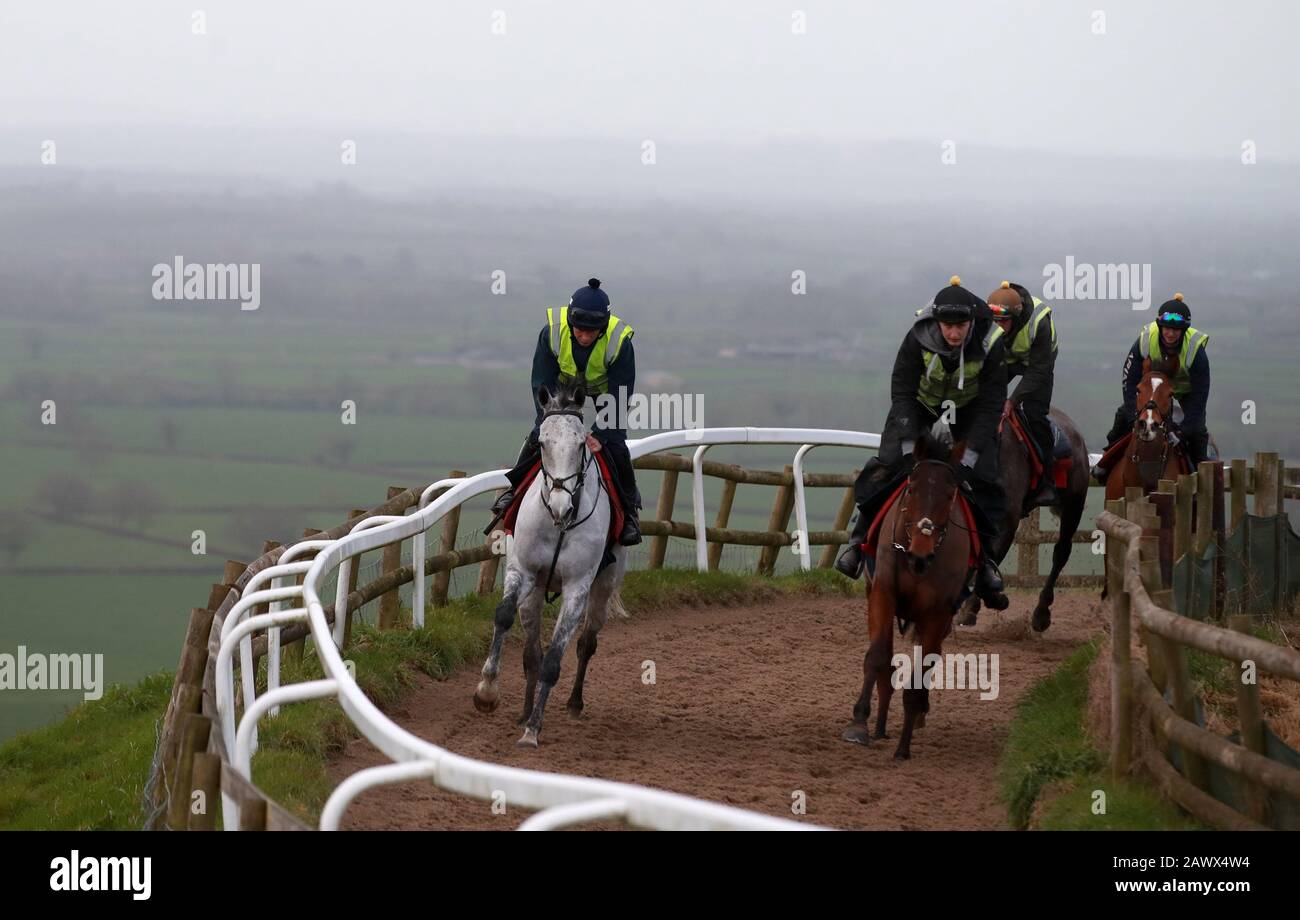 Horses out on the gallops during the visit to Paul Nicholls' stables at ...