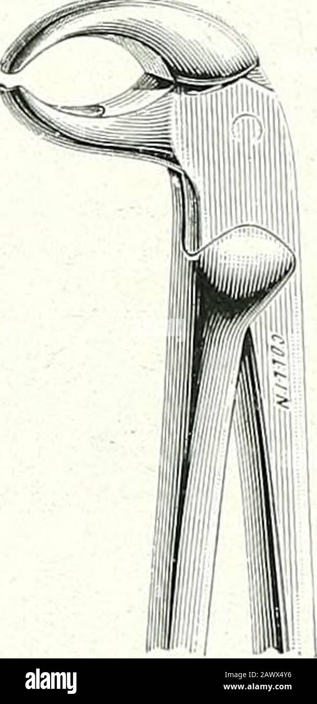 Right angle forceps hi-res stock photography and images - Alamy