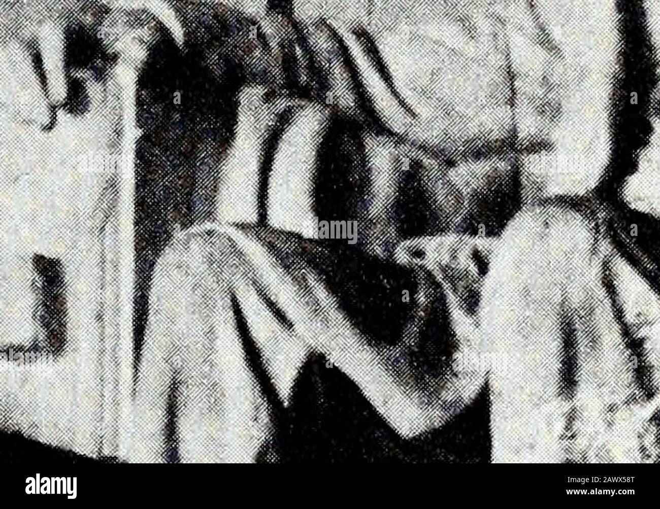 Statues of Abraham LincolnLincoln Memorial . erealways there, was no ...