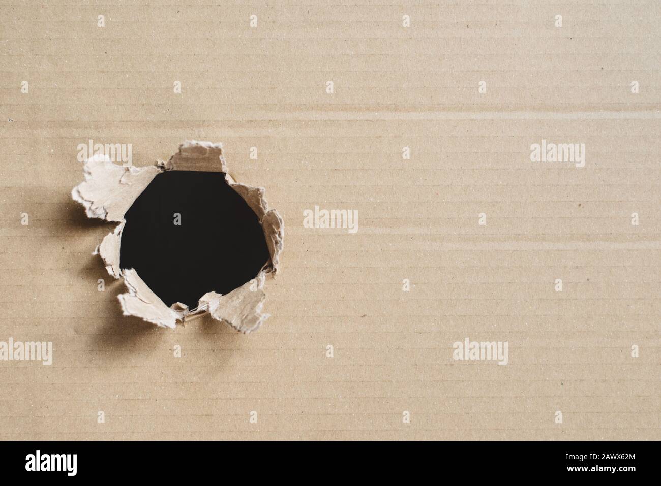 torn corrugated box. Box with hole for copy space. Concept of secret ...