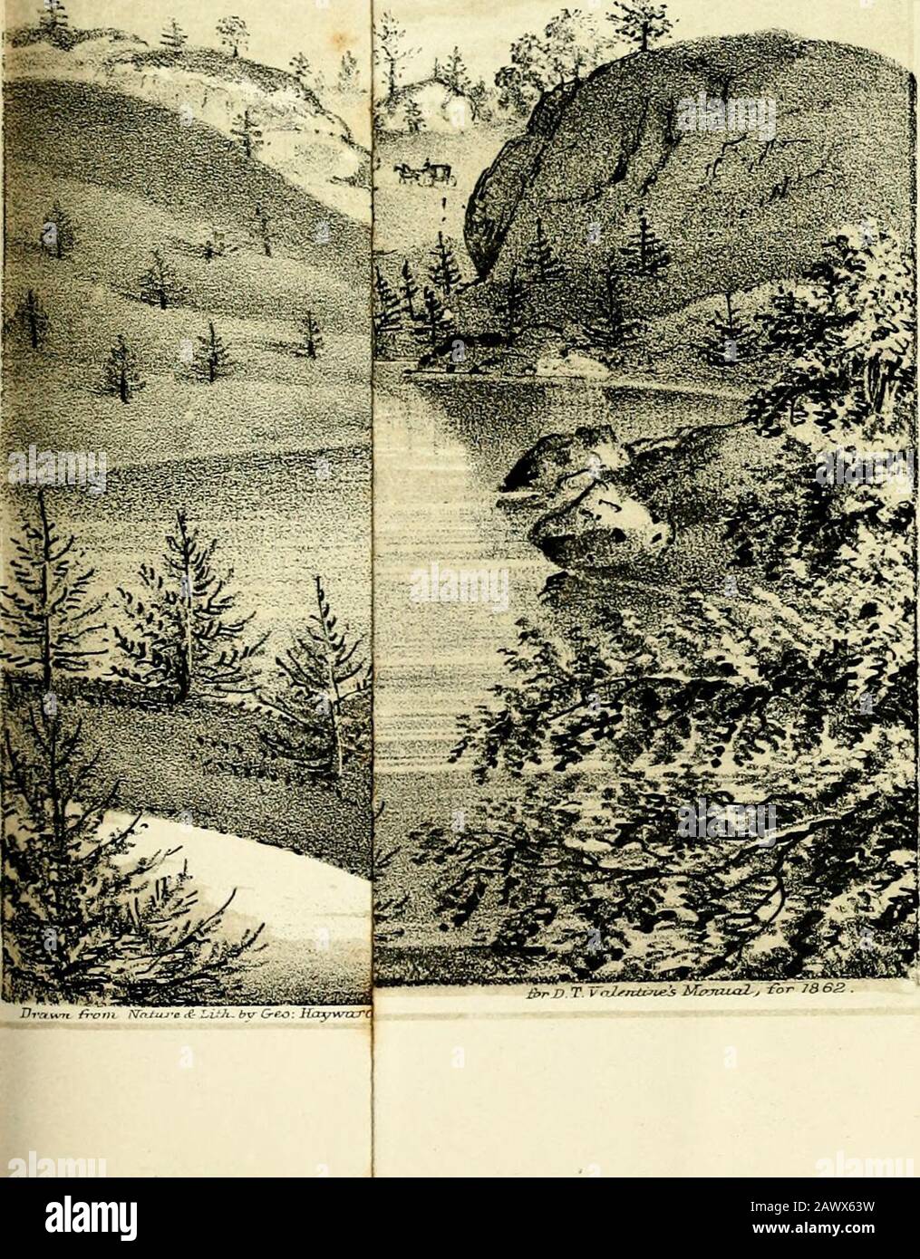 Peter ackerman hi-res stock photography and images - Alamy