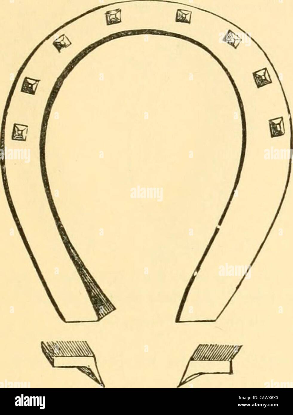 Concave foot hi-res stock photography and images - Alamy