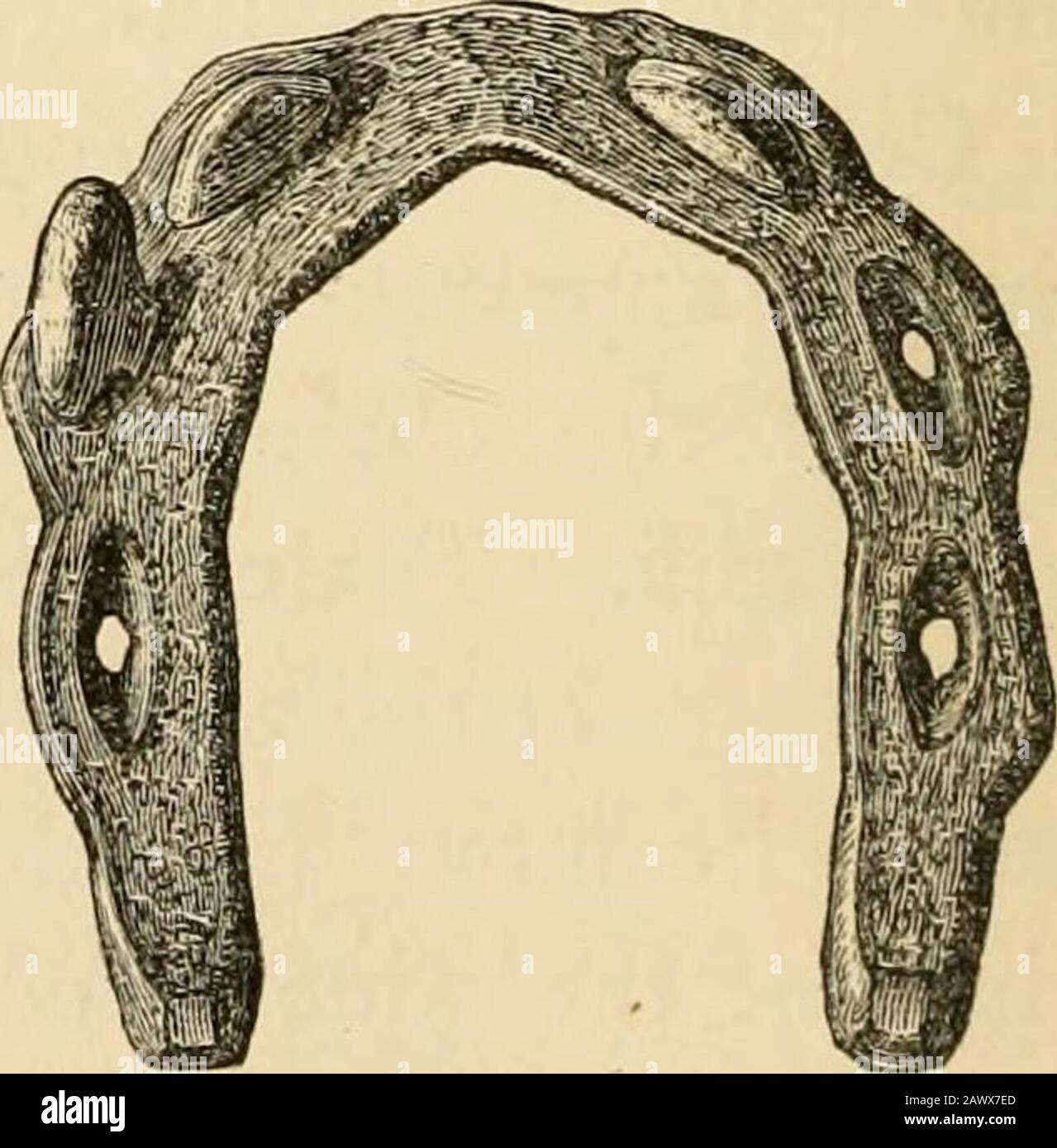 Horse-shoes and horse-shoeing : their origin, history, uses, and abuses ...