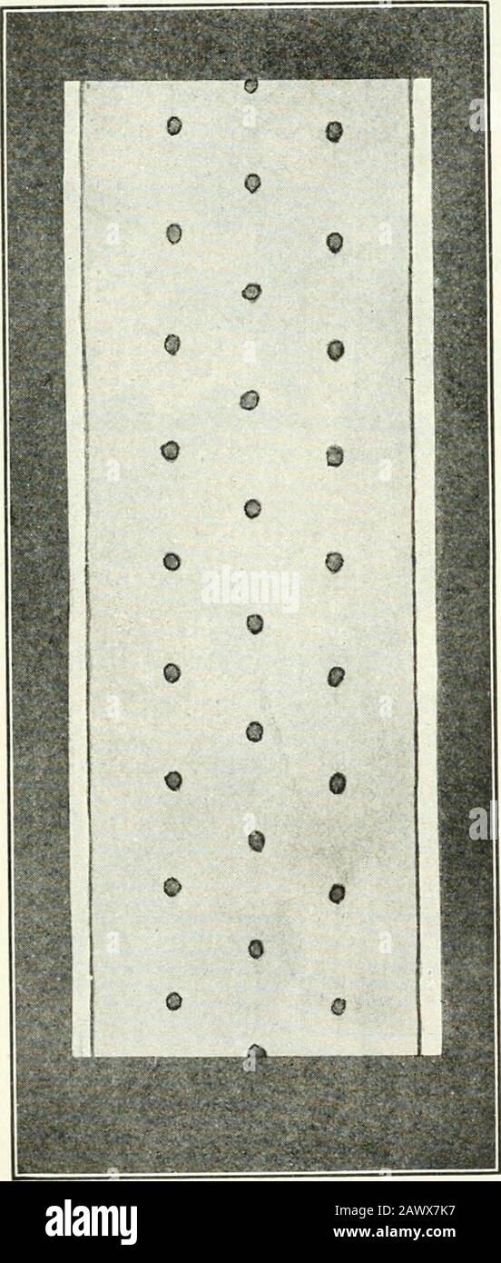 Art . m the top to the bottom edge ofthe paper, and the proper distance ...