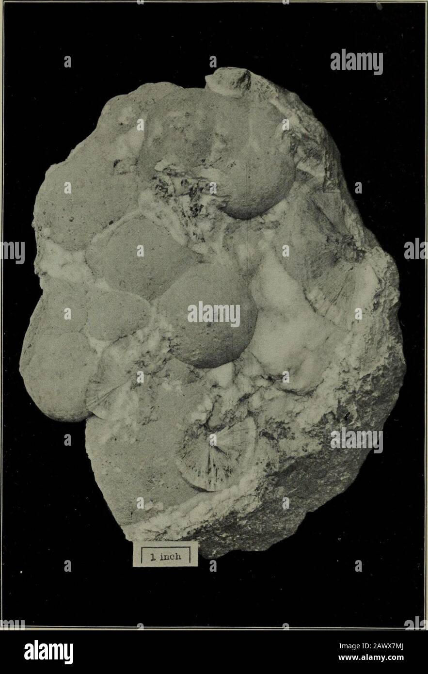 Minerals examples hi-res stock photography and images - Alamy