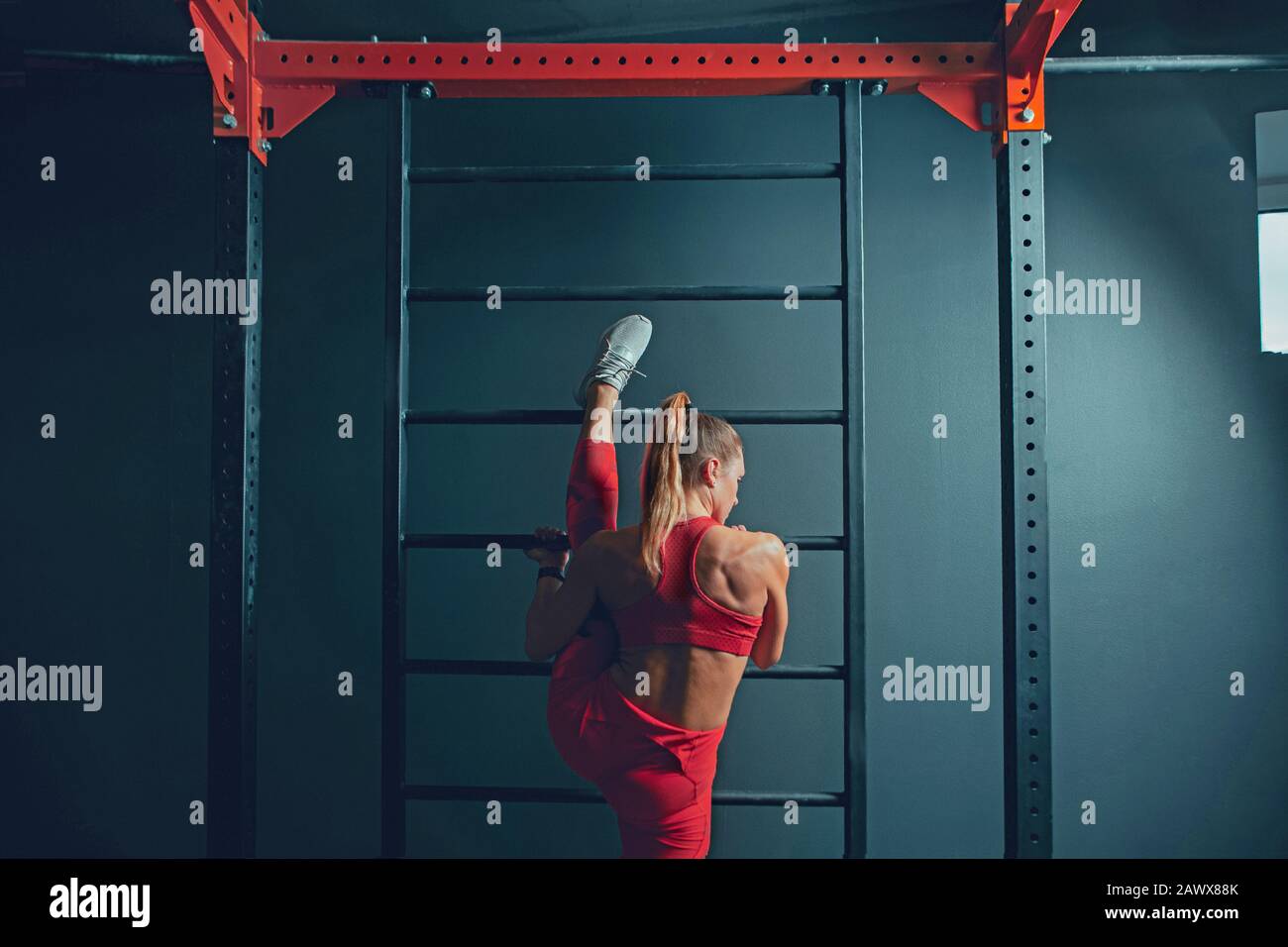 Vitality. Young muscular caucasian woman practicing in gym. Athletic ...