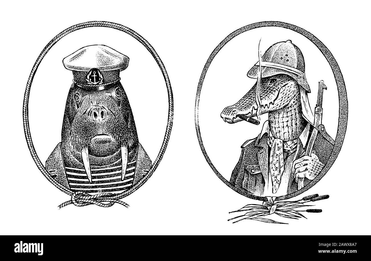 Animal character. Walrus sailor and crocodile safari hunter or ...