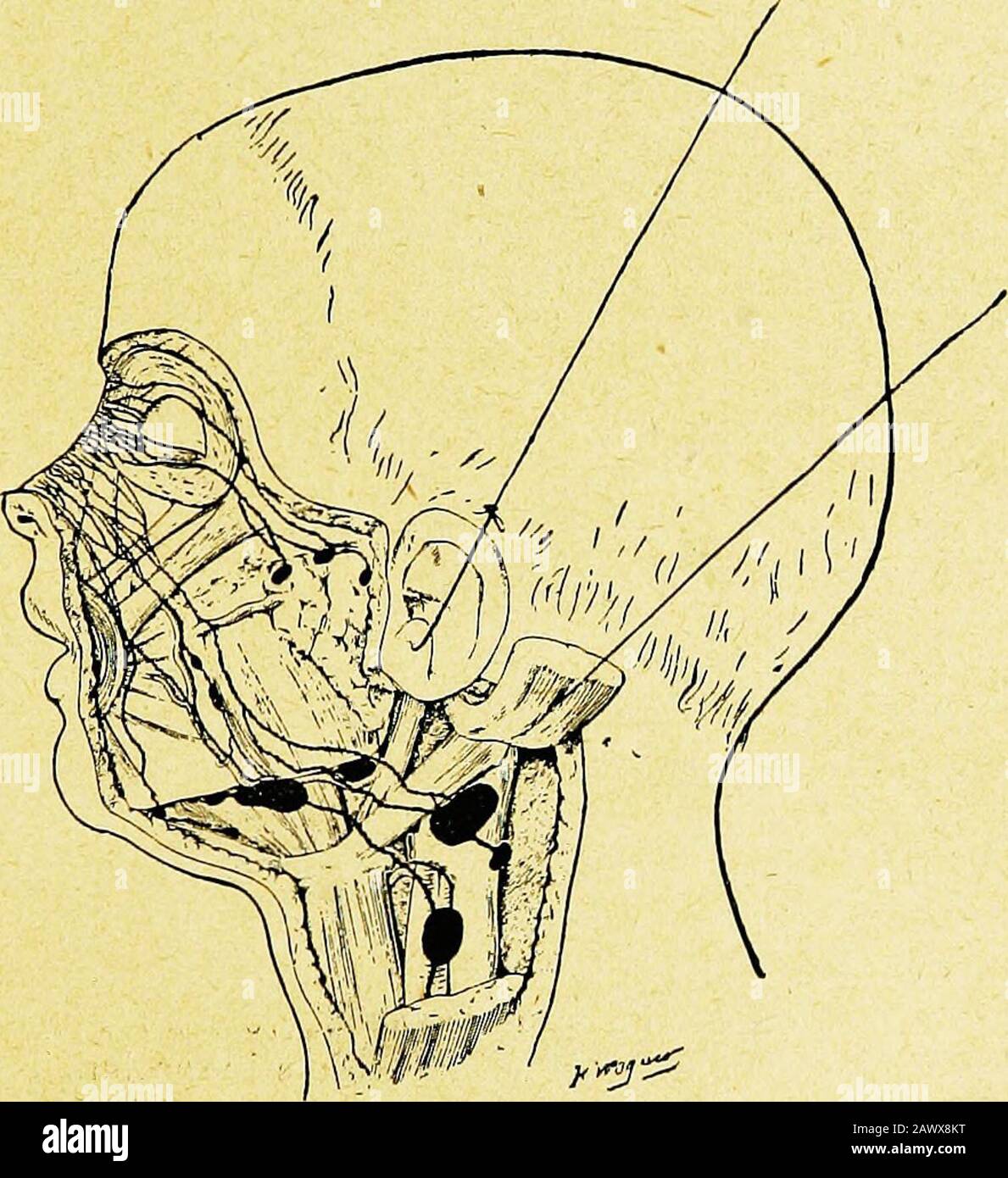 Traiter les enfants hi-res stock photography and images - Alamy
