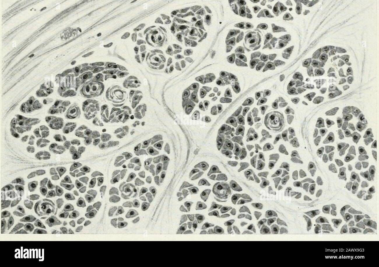 Sinuous body hi-res stock photography and images - Alamy