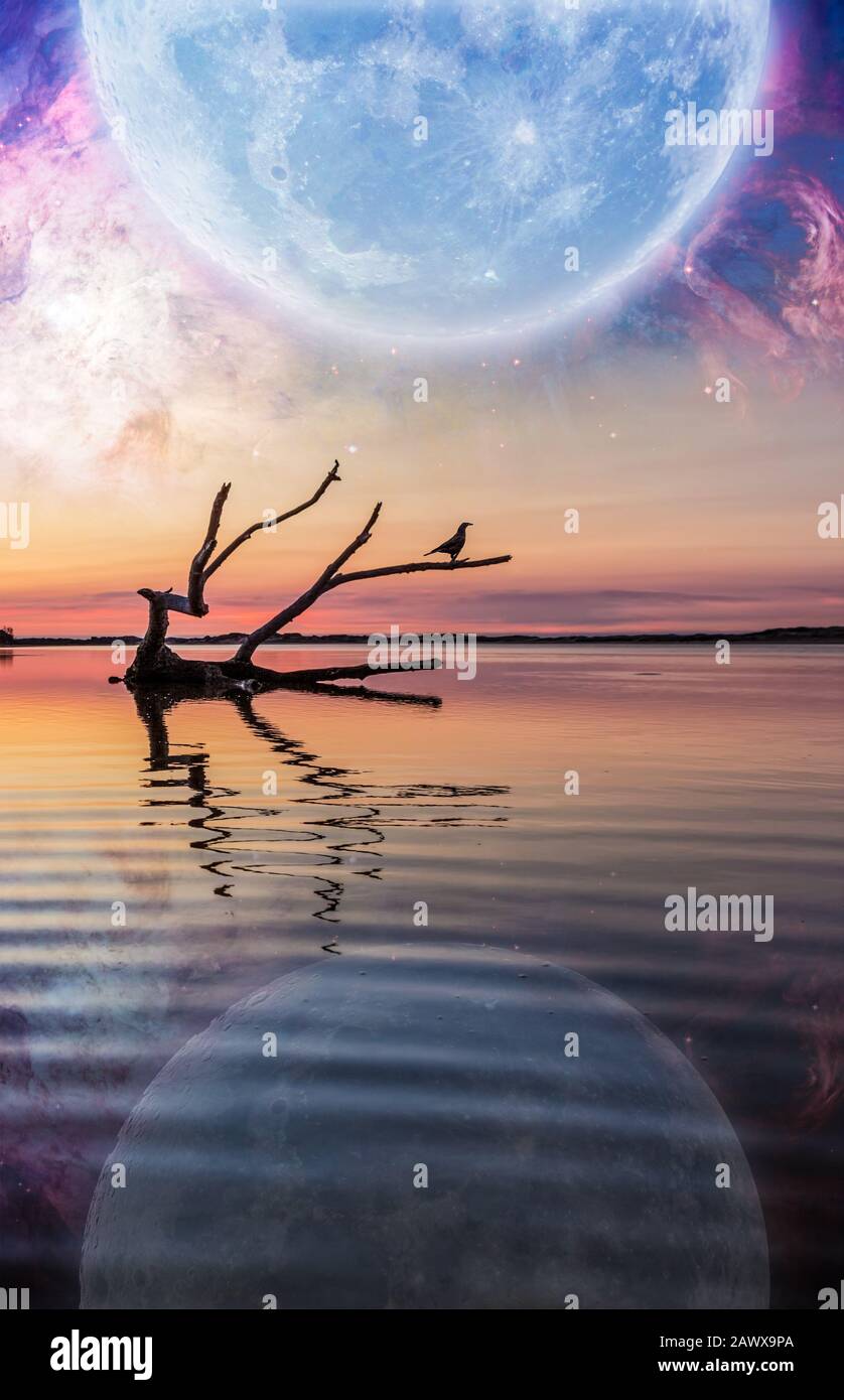 Fantasy Water Landscape