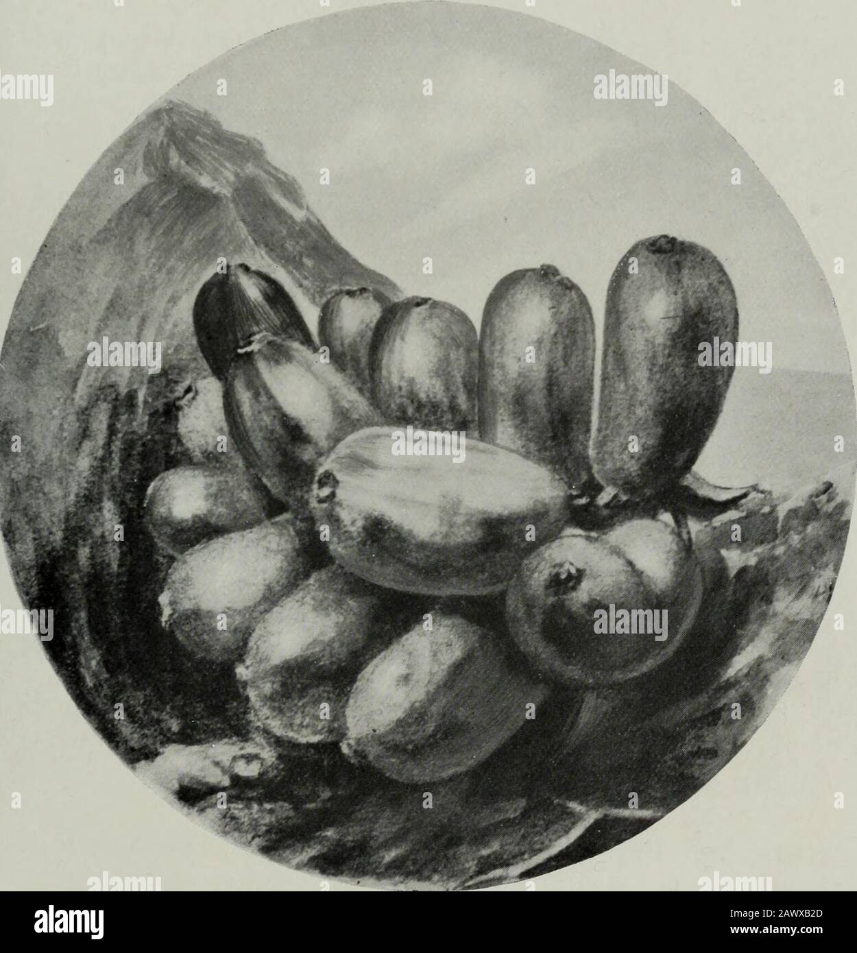 Oura ura hi-res stock photography and images - Alamy