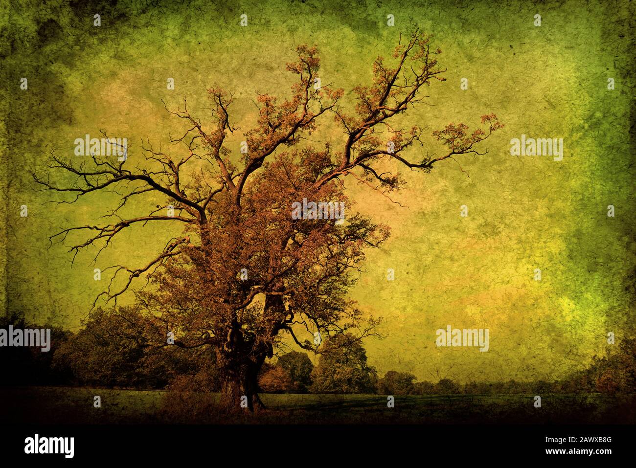 Tree and landscape on grungy texture background Stock Photo - Alamy