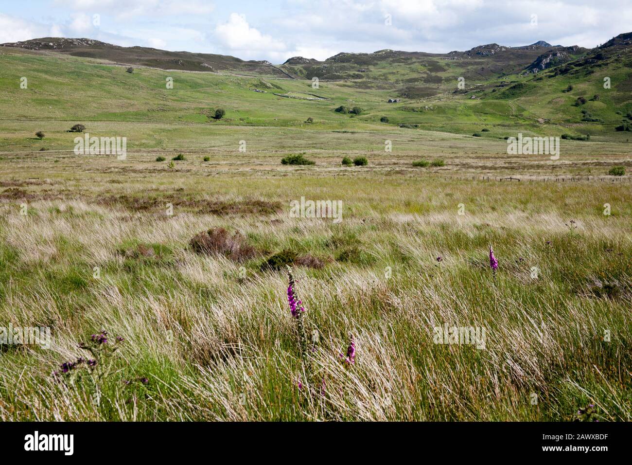 Moel Eilio slate quarries nestling beneath the slopes of Craig Ffynnon ...