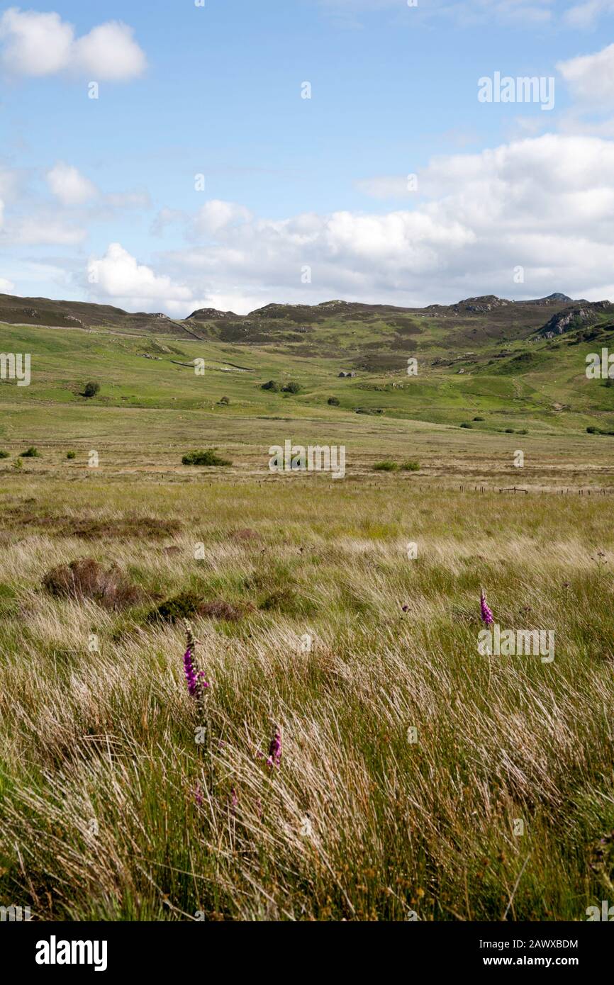 Moel Eilio slate quarries nestling beneath the slopes of Craig Ffynnon ...