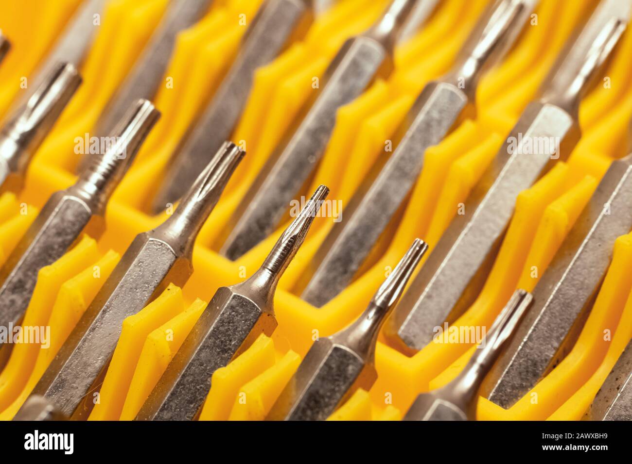 Screwdriver bits in a plastic container closeup Stock Photo - Alamy