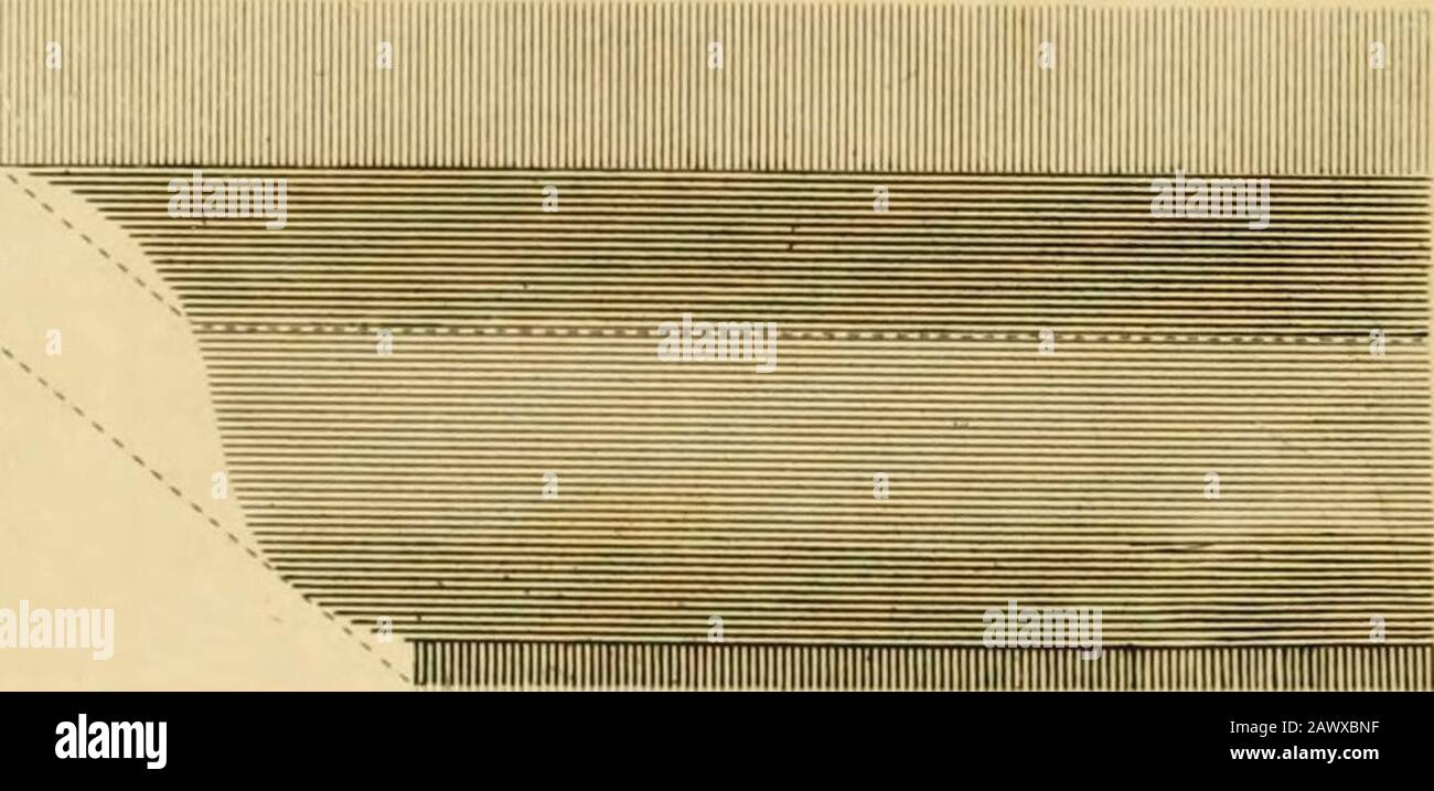 Ichnography hi-res stock photography and images - Alamy