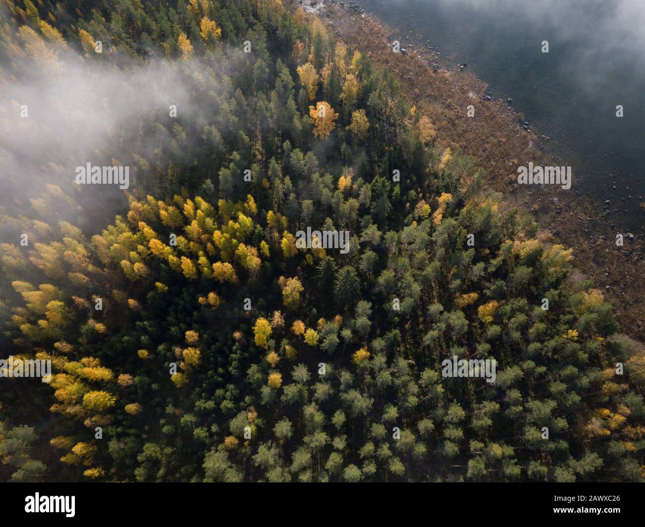 Hovering mist hi-res stock photography and images - Alamy
