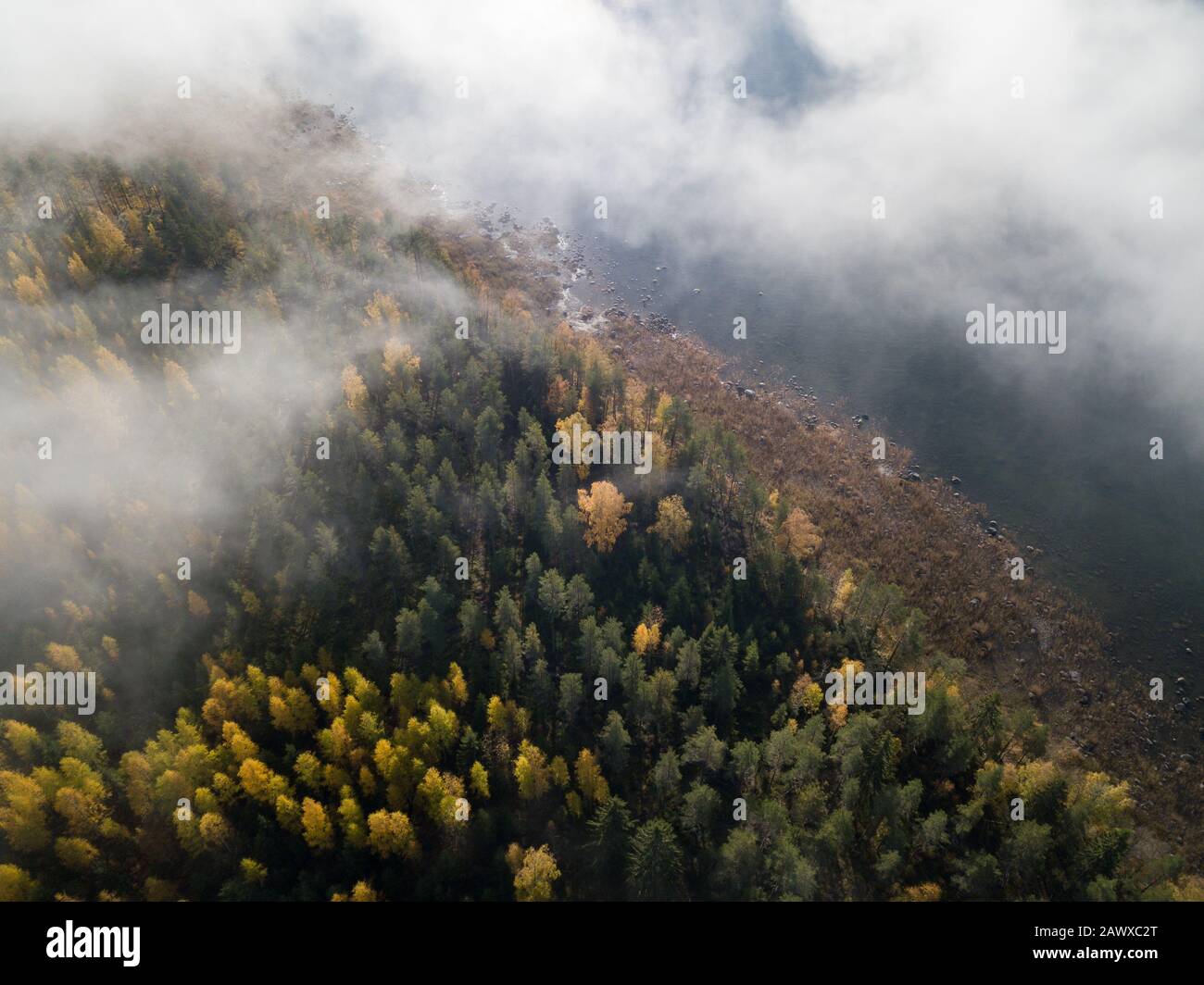 Fog over coniferous forest hi-res stock photography and images - Alamy