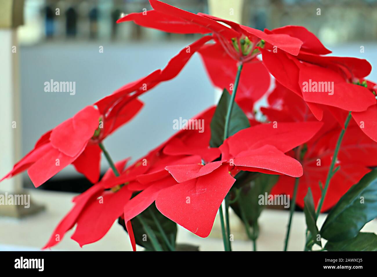 High crown in egypt hi-res stock photography and images - Alamy