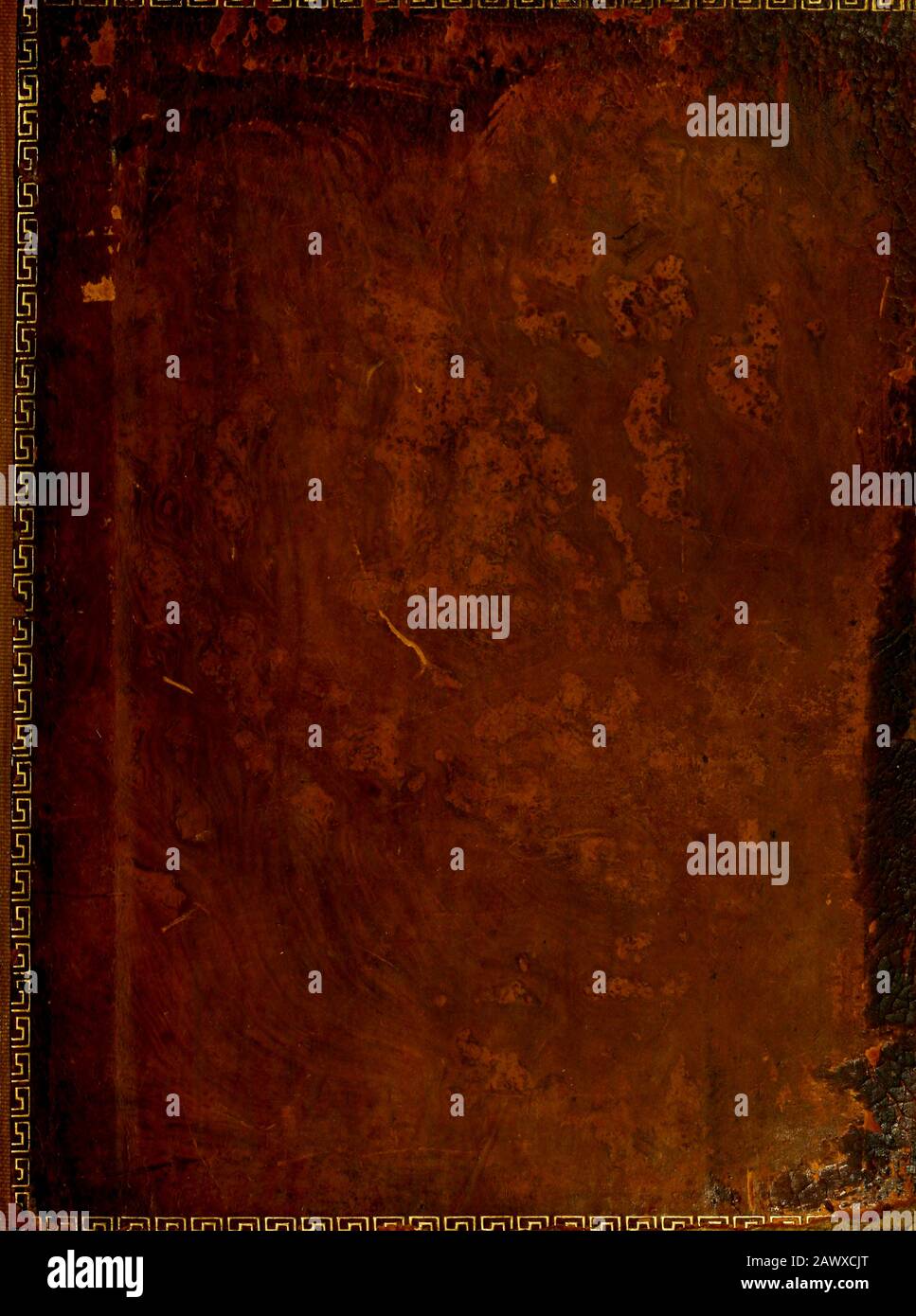 Leather Book Binding Texture