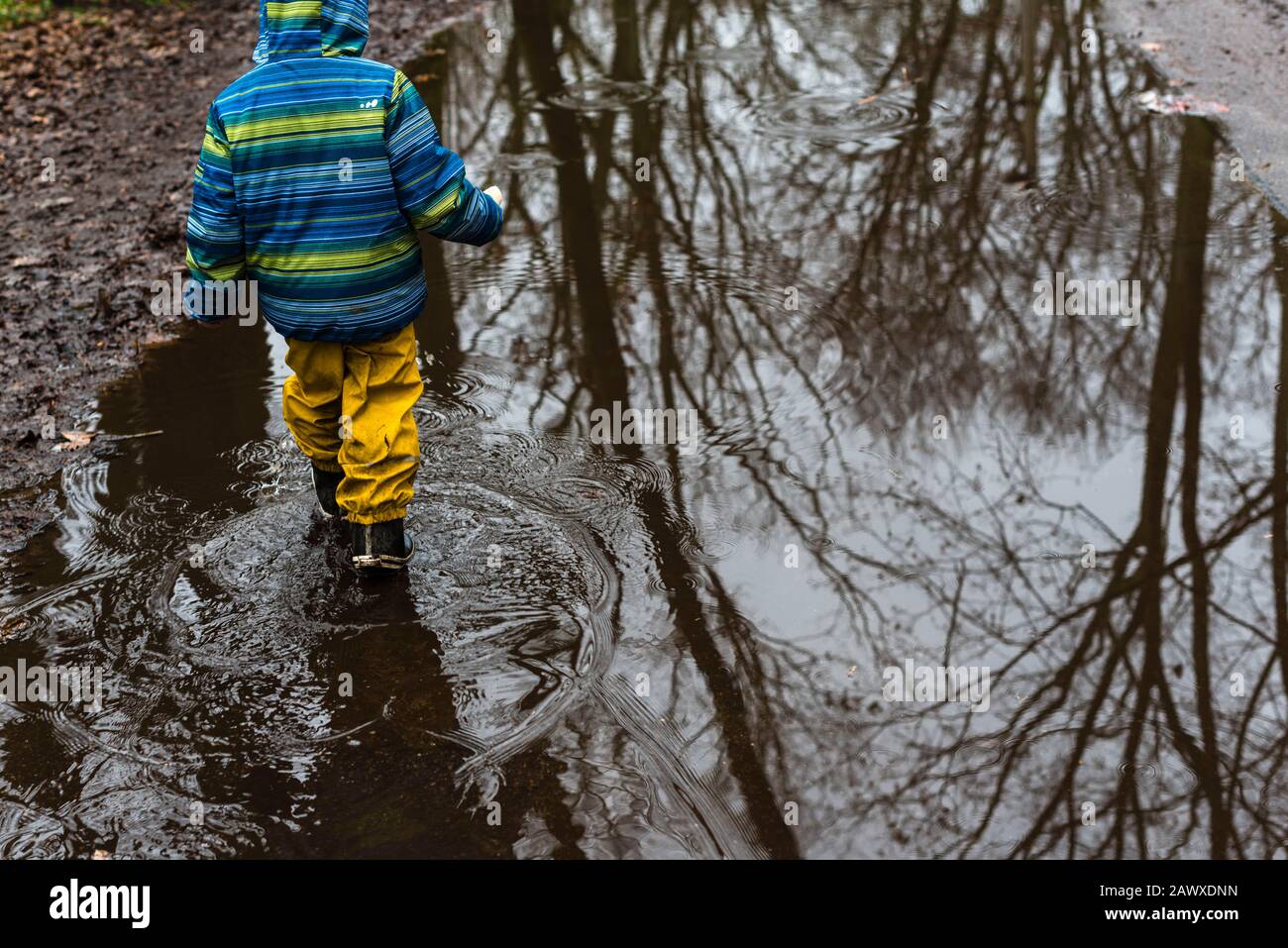 A child runs through a puddle in which trees are reflected, puddle ...