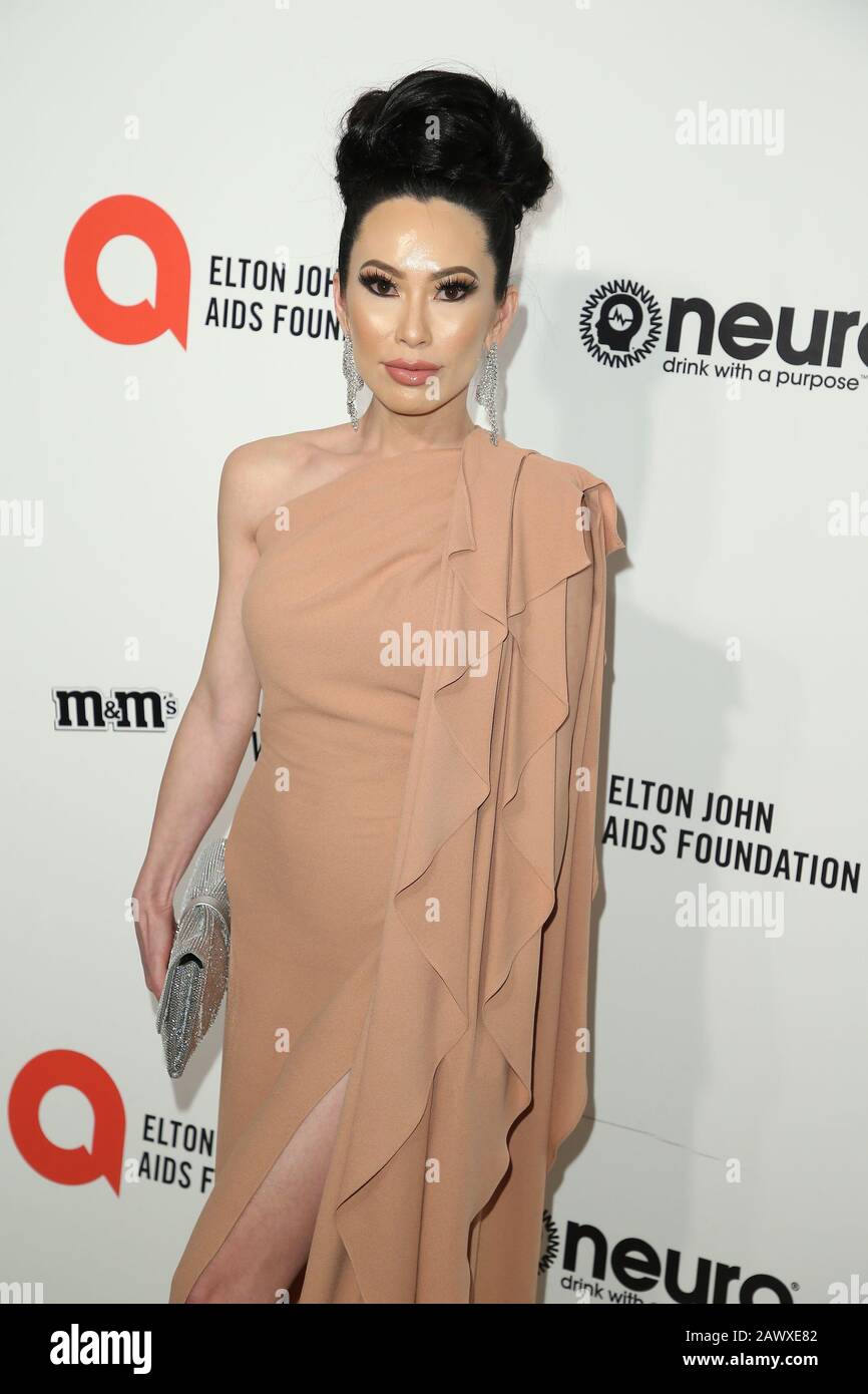 Los Angeles, USA. 09th Feb, 2020. Christine Chiu attends the 28th ...