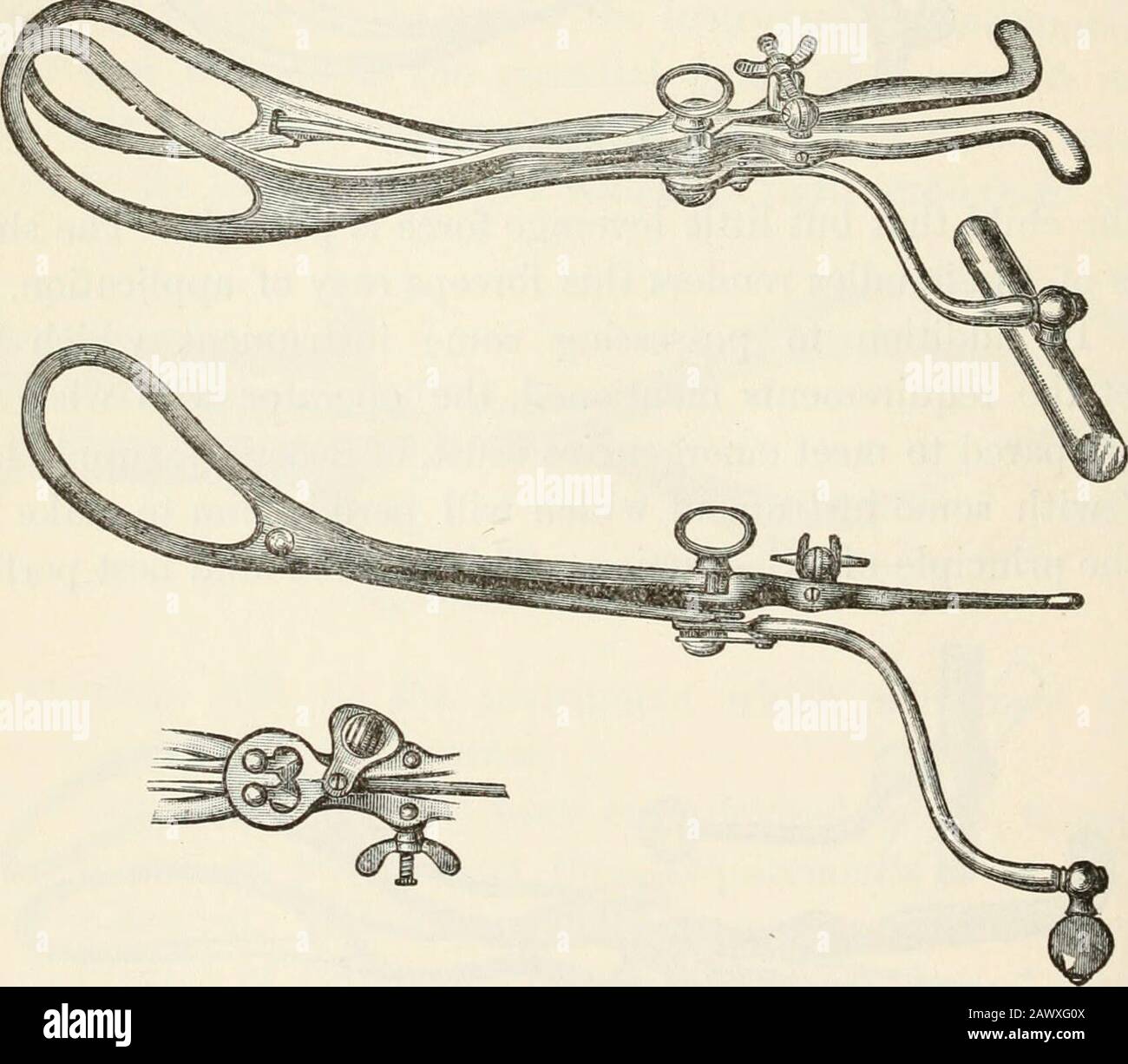 Tarnier hi-res stock photography and images - Alamy