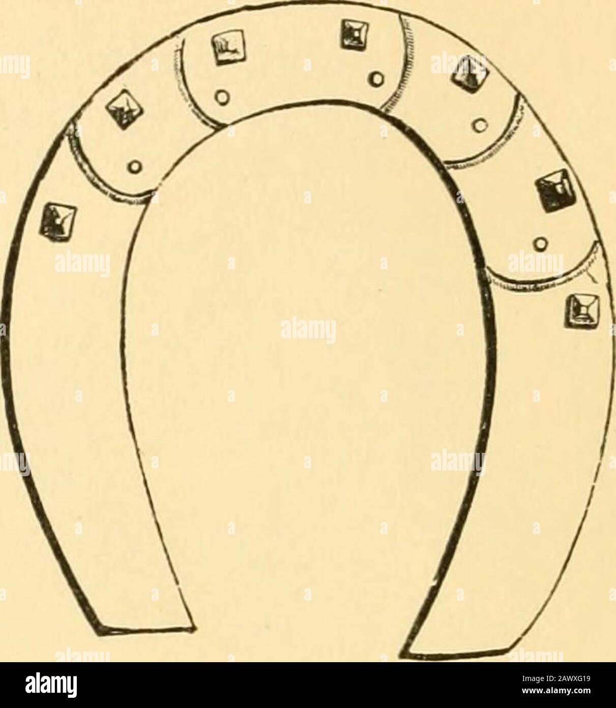 Magner's ABC guide to sensible horseshoeing : a simple and practical ...