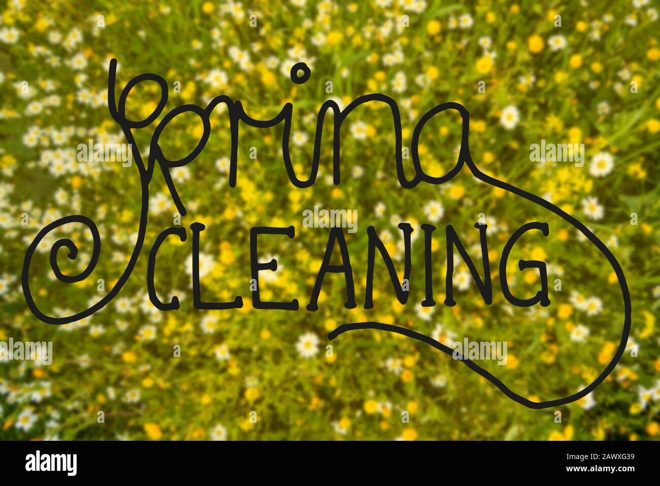 Outdoor tidy flower hi-res stock photography and images - Alamy