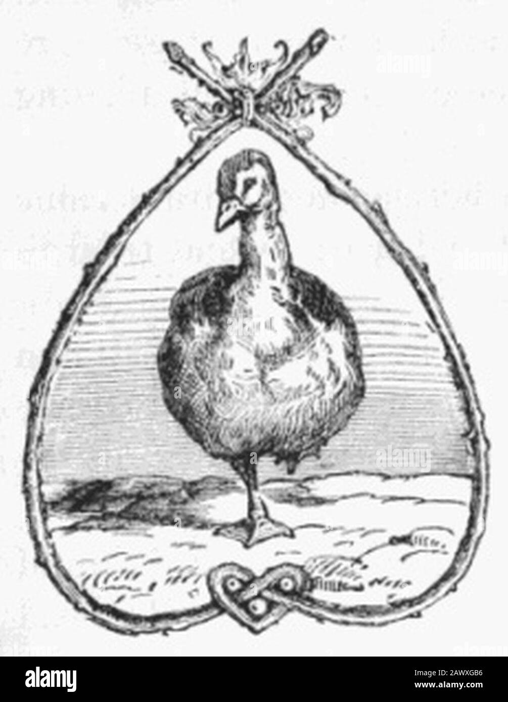 Goose drawing hi-res stock photography and images - Alamy