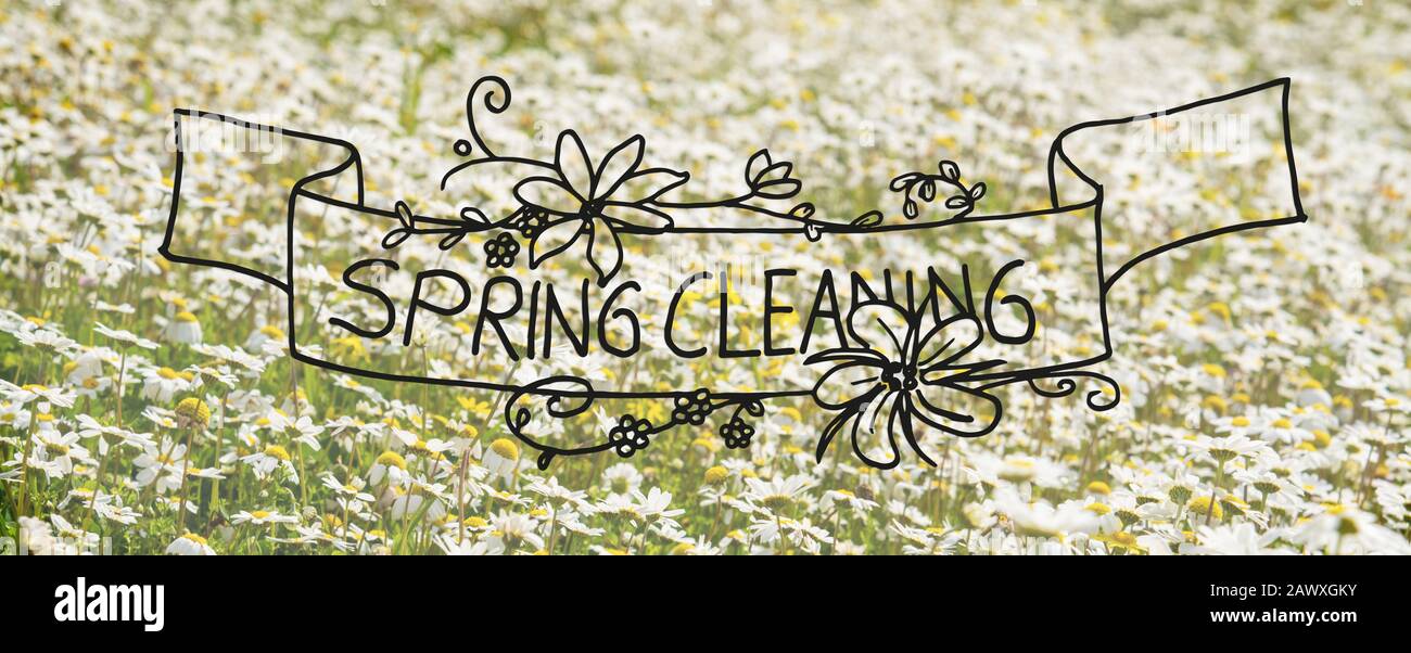 Sunny White Daisy Flower Meadow, Calligraphy And Illustration Spring ...