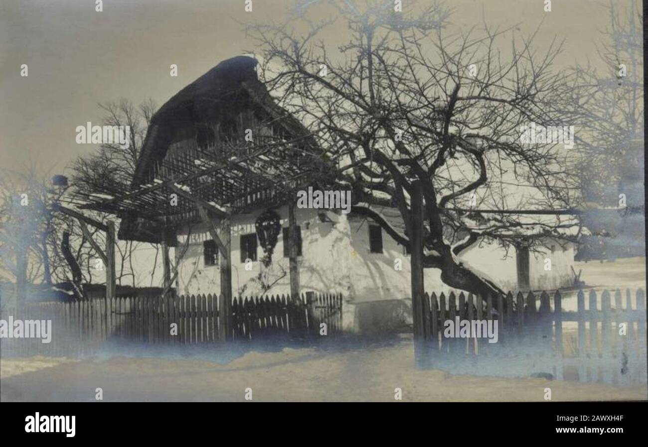 Fran vesel hi-res stock photography and images - Alamy