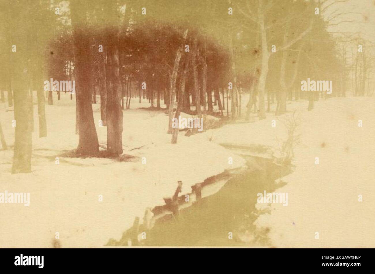 Fran Vesel - Zasneženi gozd s potokom Stock Photo - Alamy