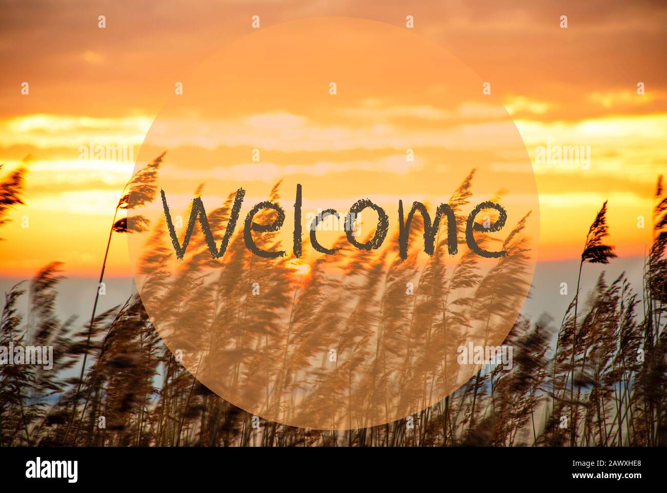 Sunset reception hi-res stock photography and images - Alamy